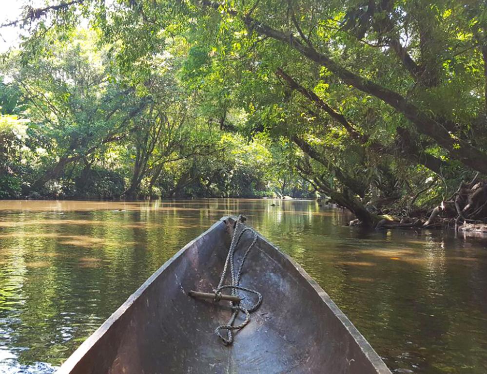 Guía de viajes a Nuquí 2022, Colombia. Tierra de aventura y naturaleza